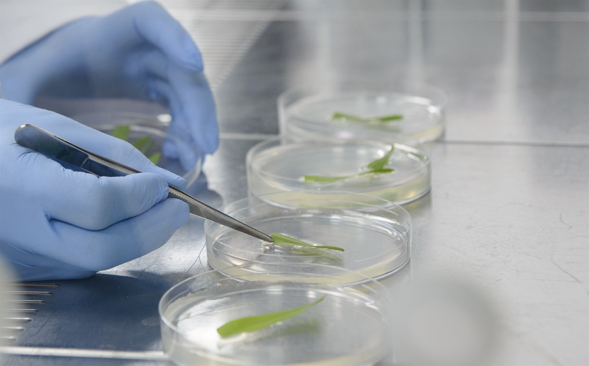 Spotlight on our new laboratory - Eden